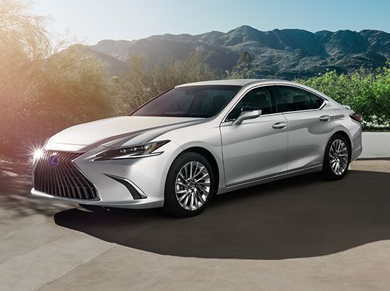 Lexus Universidad
