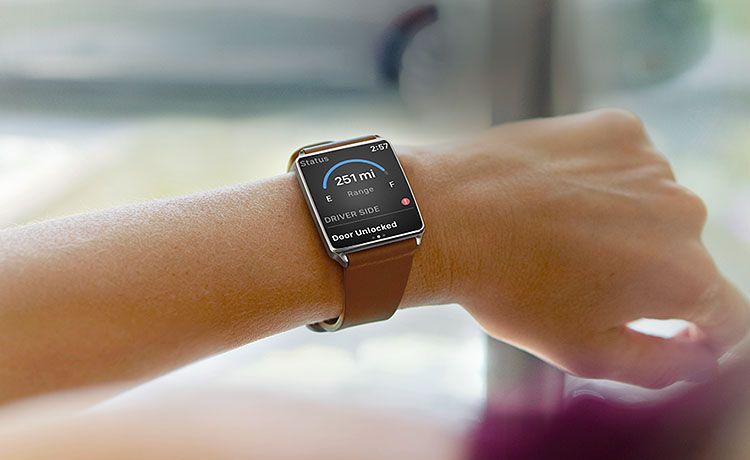 Welcome to My Lexus | Lexus