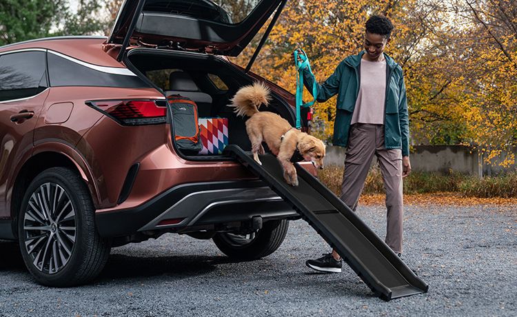 Lexus Luxury SUV | LX, GX, TX, RX, RZ, NX, UXh