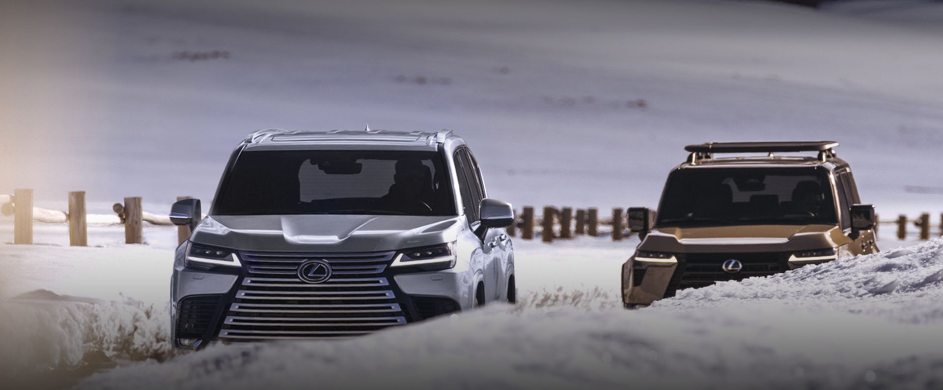 Lexus Luxury SUV | LX, GX, TX, RX, RZ, NX, UXh