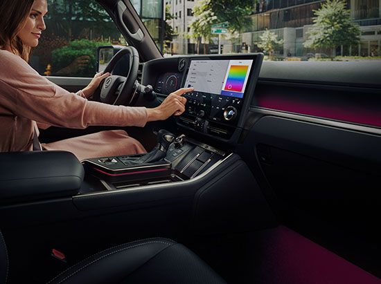 Lexus Gx Interior Colors | Cabinets Matttroy