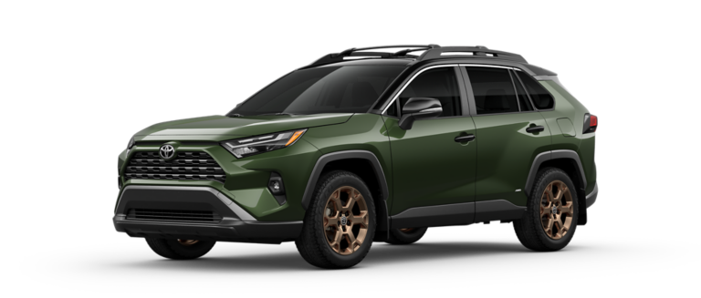 RAV4 Hybrid